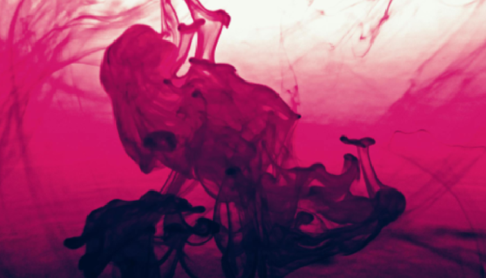 Demo Creative Agency 2 | Porto - Multipurpose Website Template